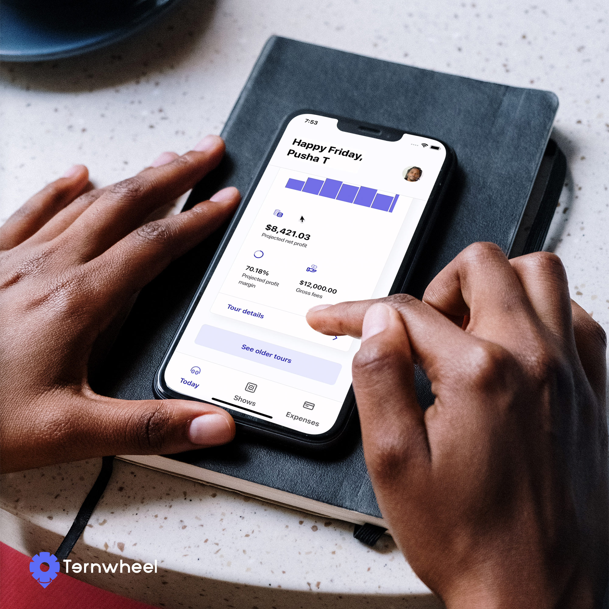 Ternwheel Logo / Branding - Nye Lyn Tho Design